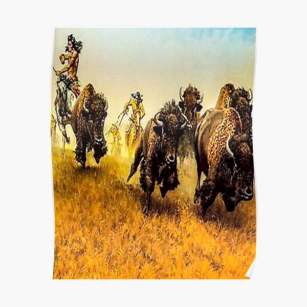 "fwc 5001 native american" Poster for Sale by fwc-usa-company | Redbubble