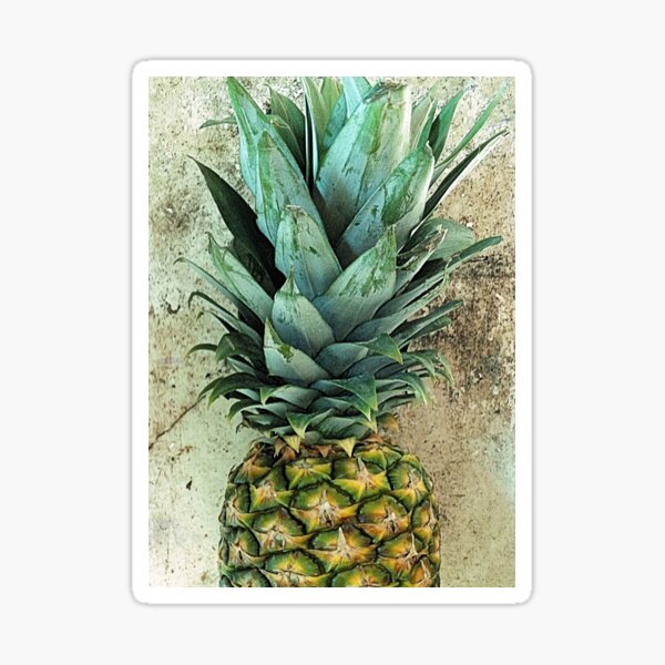 "Pineapple Portrait" Sticker by SexyEyes69 | Redbubble