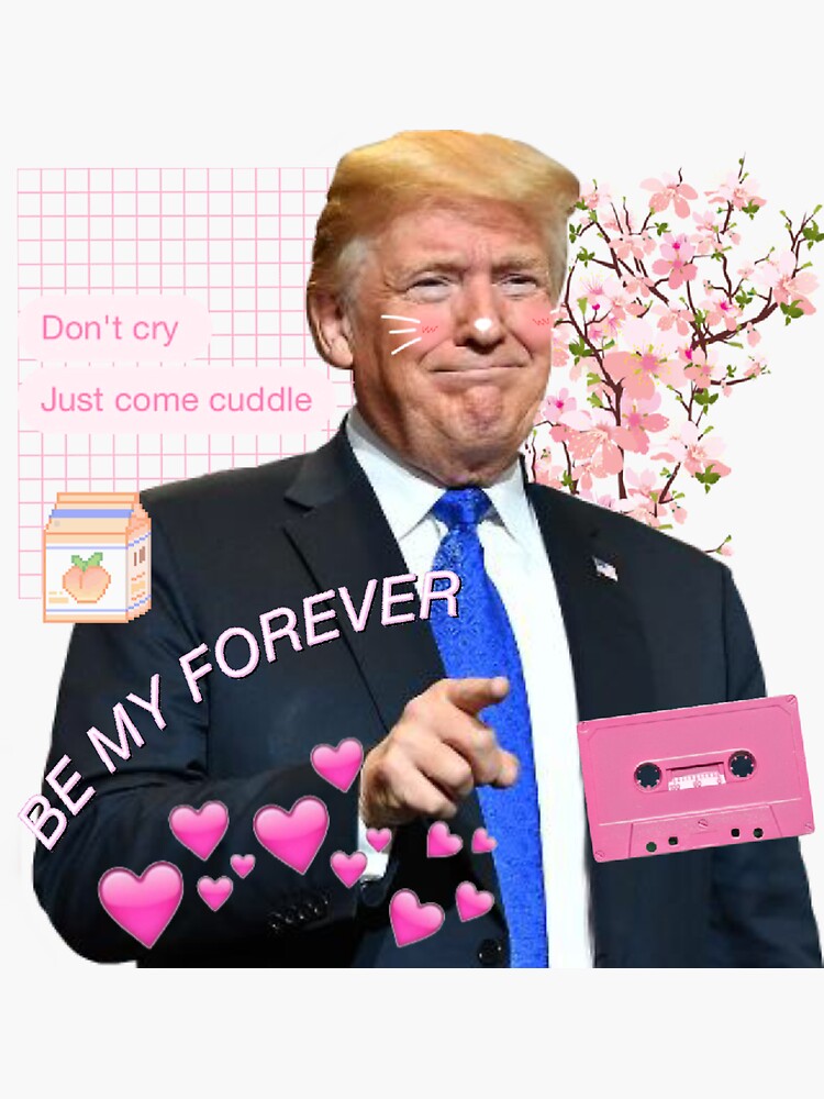 "Cute Trump Edit #2" Sticker for Sale by Bisexual Scum | Redbubble