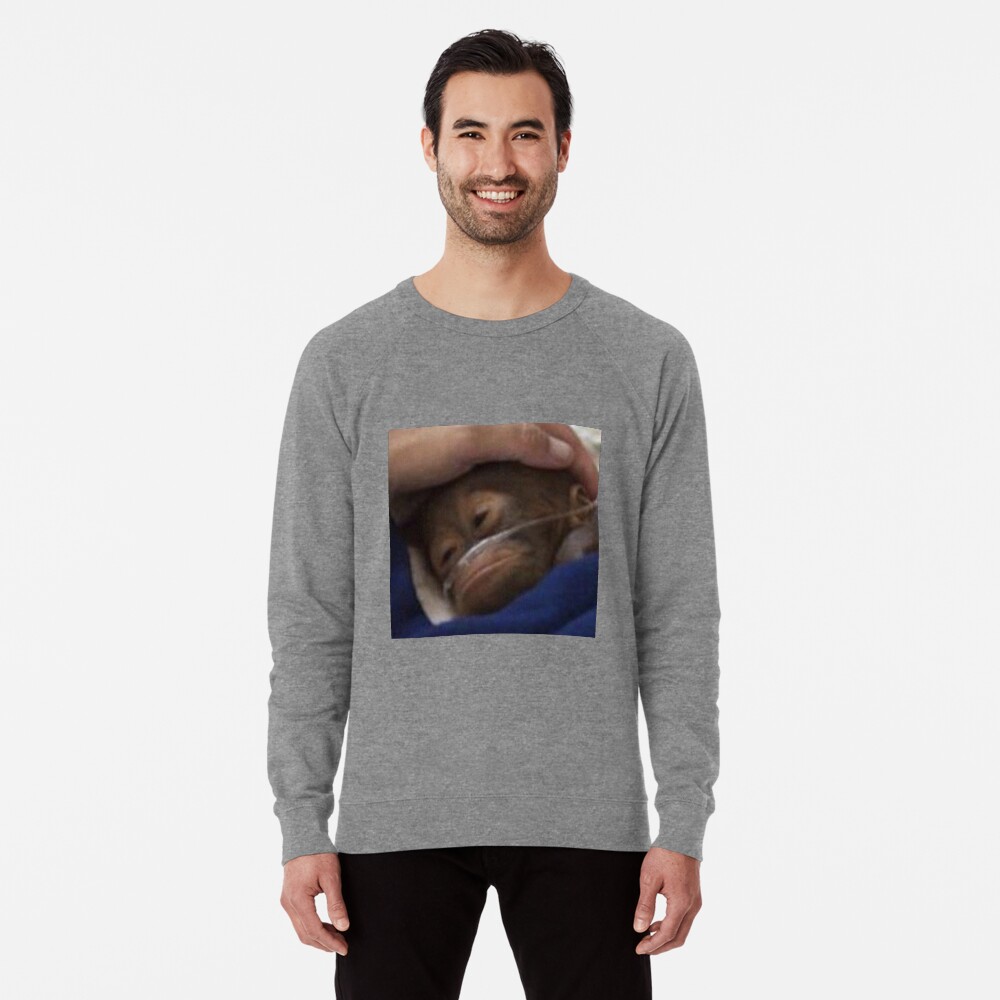 "sad monkey" Sticker for Sale by baileypem | Redbubble