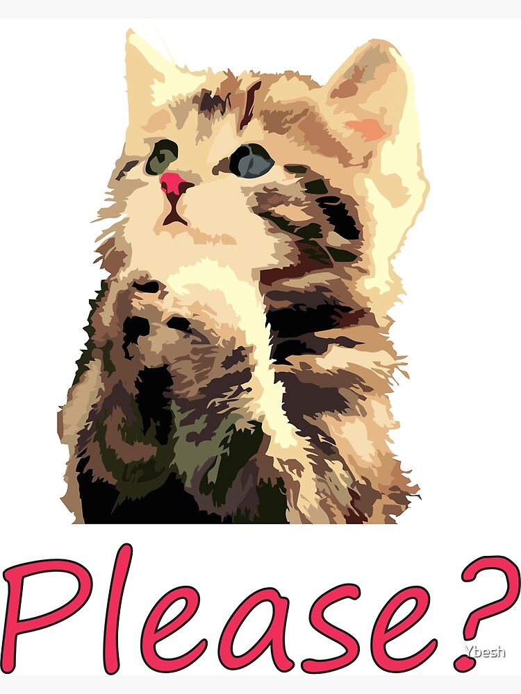 Póster «Rogando gatito» de Ybesh | Redbubble