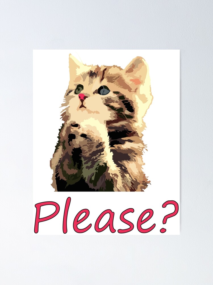 Póster «Rogando gatito» de Ybesh | Redbubble