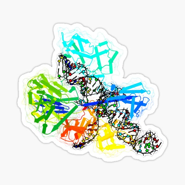 "CRISPR Cas9" Sticker for Sale by 3D Biology | Redbubble