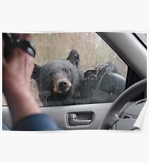 Blackbear: Posters | Redbubble