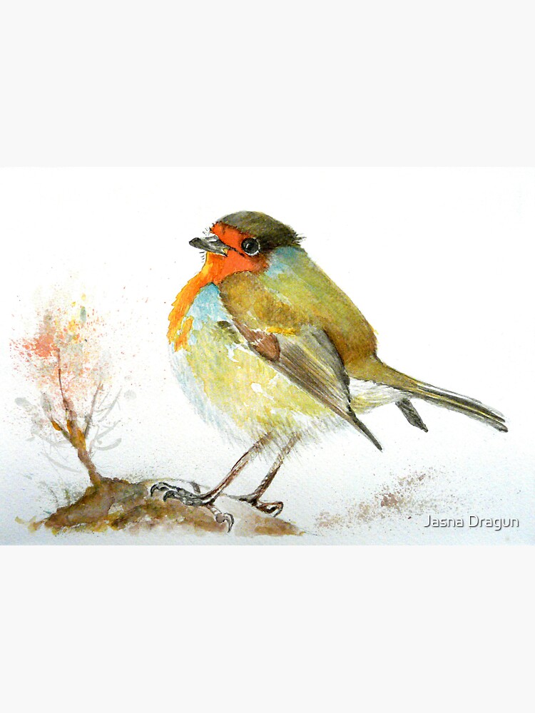 "Sad Robin" Sticker for Sale by Jasnaart | Redbubble