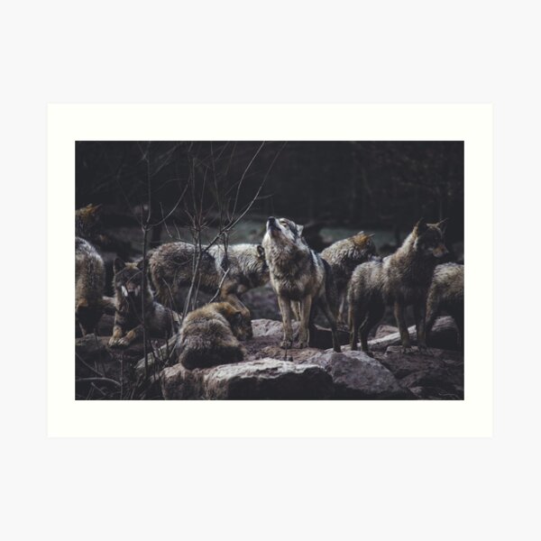 "Wolf pack" Art Print for Sale by BookishNights | Redbubble