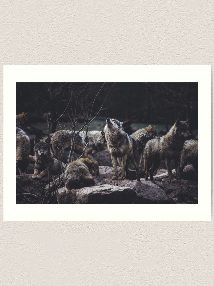 "Wolf pack" Art Print for Sale by BookishNights | Redbubble