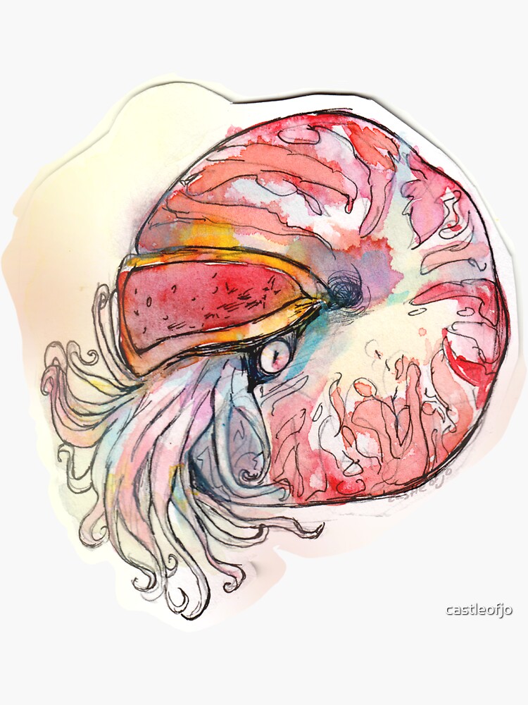 "nautilus" Sticker for Sale by castleofjo | Redbubble