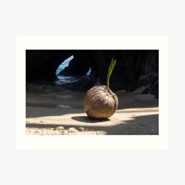 "Wilson Coconut, Elnido, Palawan, Philippines" Art Print by bobbymcleod ...