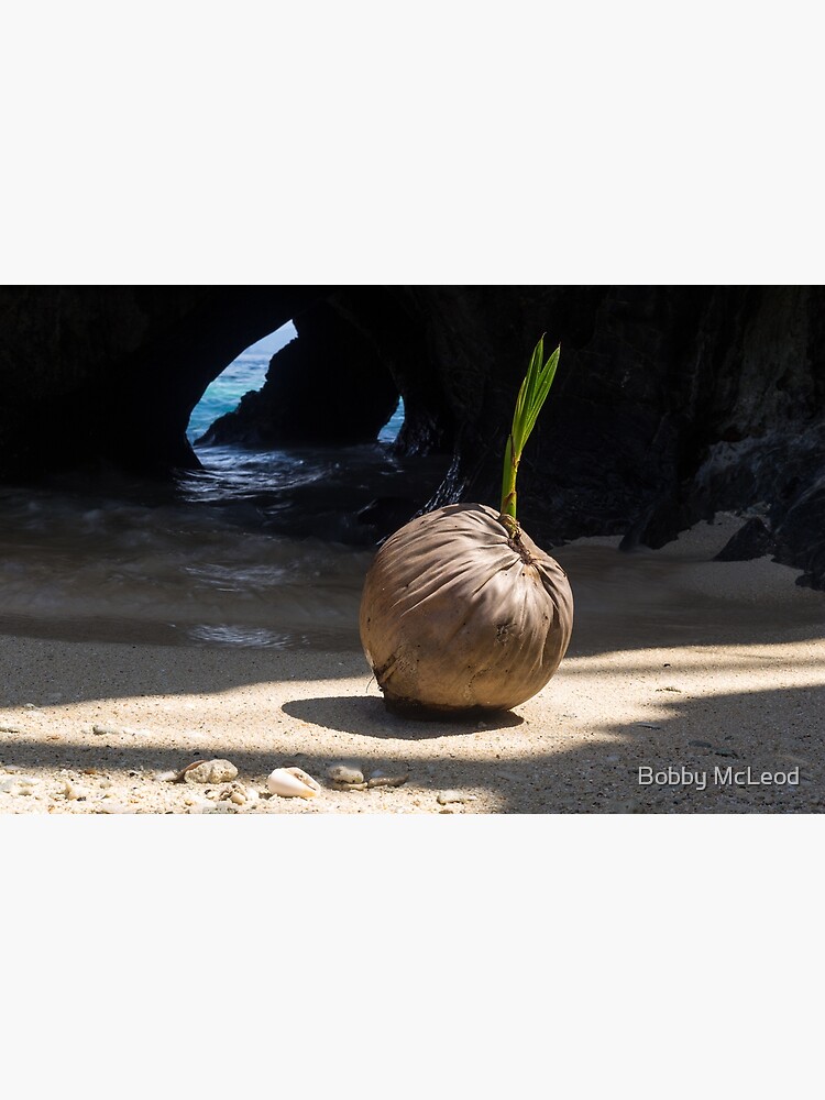 "Wilson Coconut, Elnido, Palawan, Philippines" Art Print by bobbymcleod ...