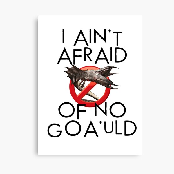 Sg1 Stargate Canvas Prints | Redbubble