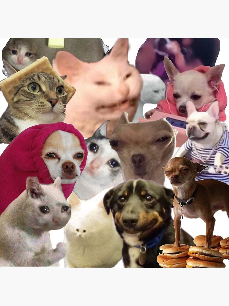 "Animal Meme Collage" Poster for Sale by JamesQuentin | Redbubble