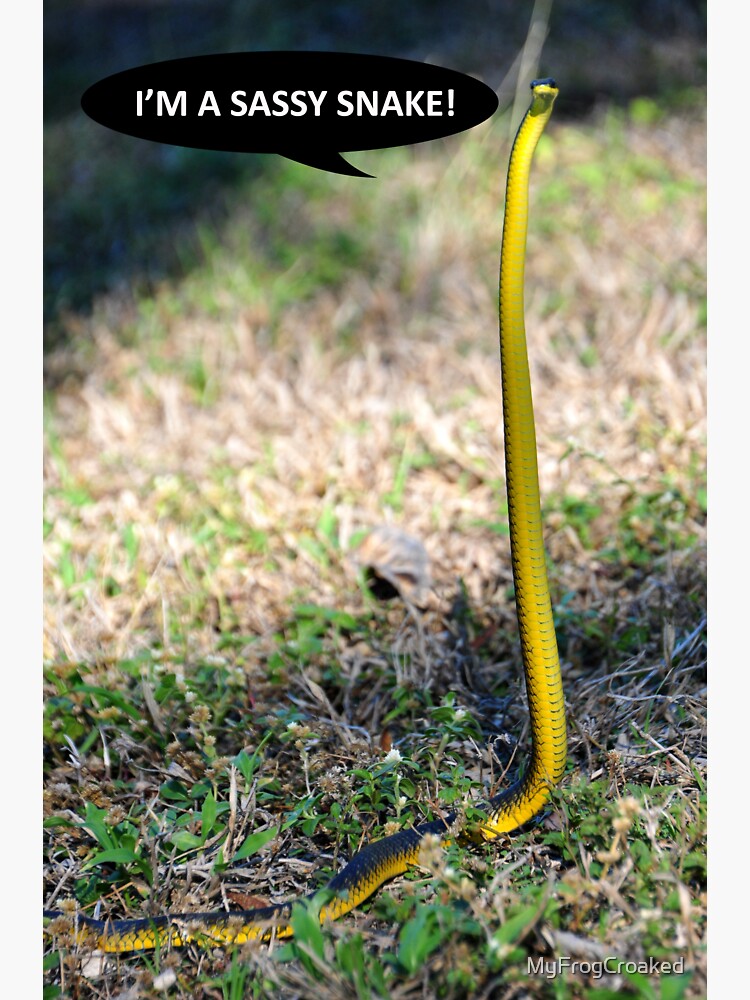 "Sassy Snake" Sticker for Sale by MyFrogCroaked | Redbubble