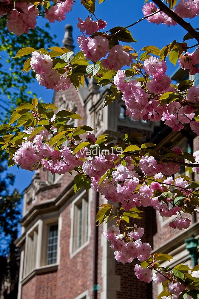 "USA. Philadelphia. University of Pennsylvania. Spring." by vadim19 ...