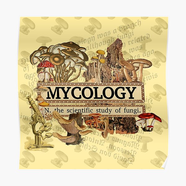 Mycology Posters | Redbubble