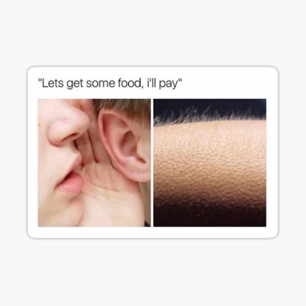 "Best Seller: Funny Food Meme Sticker" Sticker for Sale by iamme123 ...