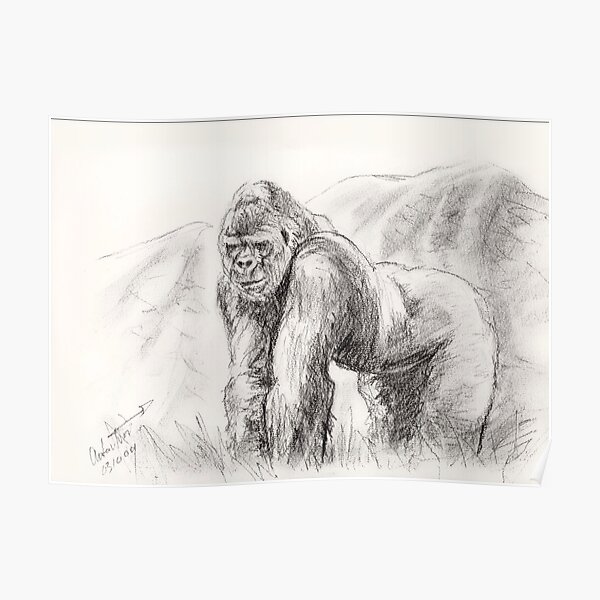 Bokito Gifts & Merchandise for Sale | Redbubble