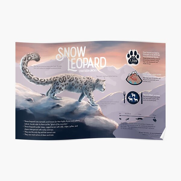"Snow Leopard Informational Poster - Animal Education" Poster by ...