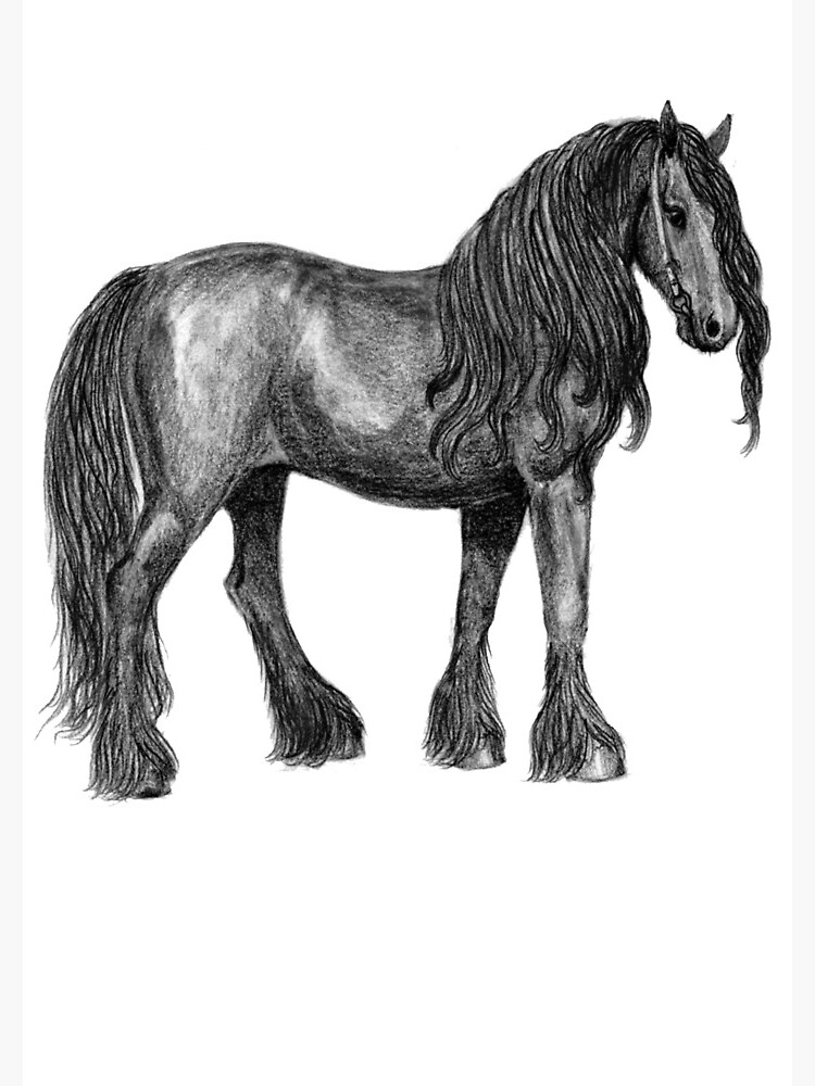 Cahier à spirale « Cheval frison - Illustration de cheval frison - Art ...