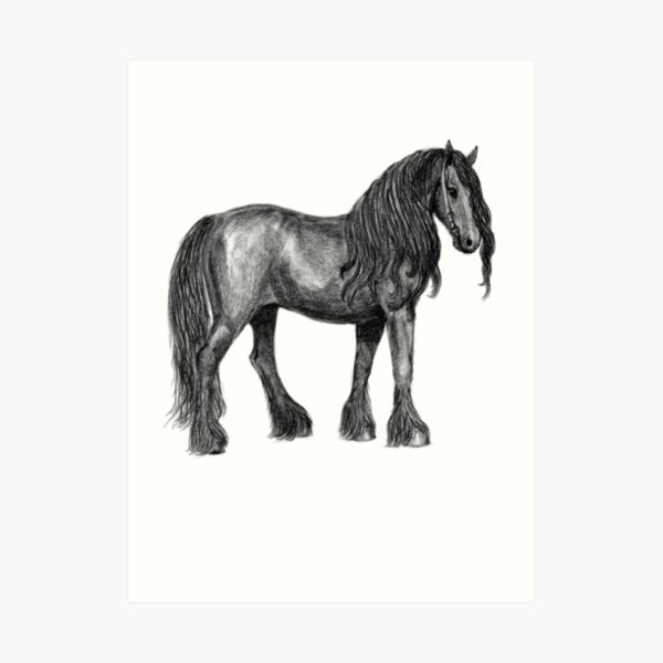 Impression artistique « Cheval frison - Illustration de cheval frison ...