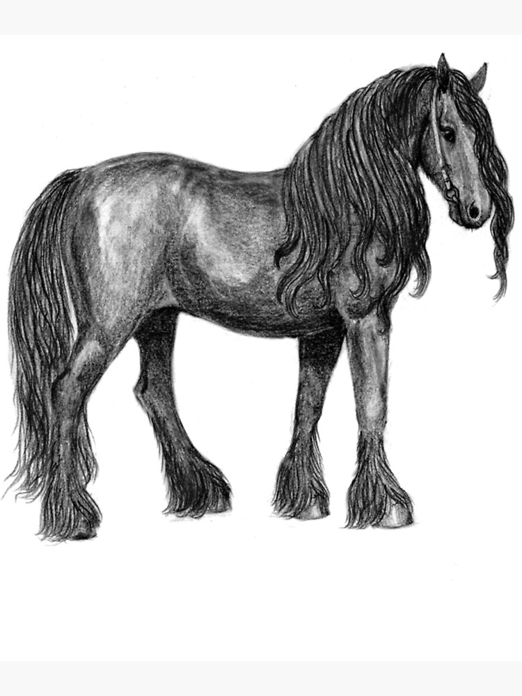 "Friesian Horse - Friesian Horse Illustration - Horse Art - Horse Shirt ...