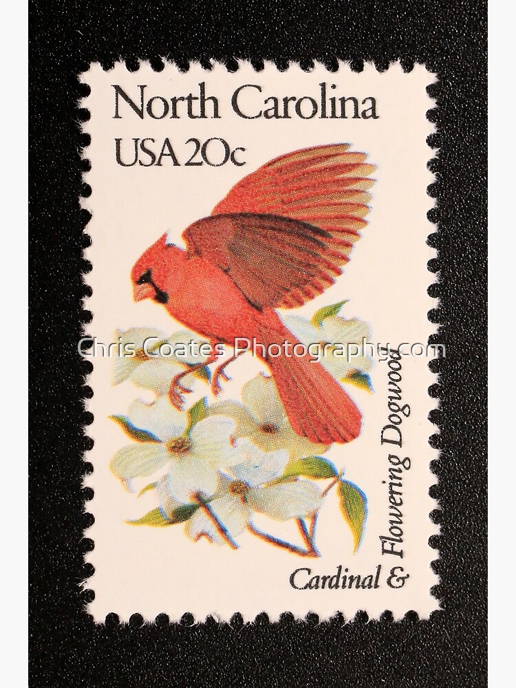 "1982 20c North Carolina State Bird & Flower Postage Stamp" Framed Art ...