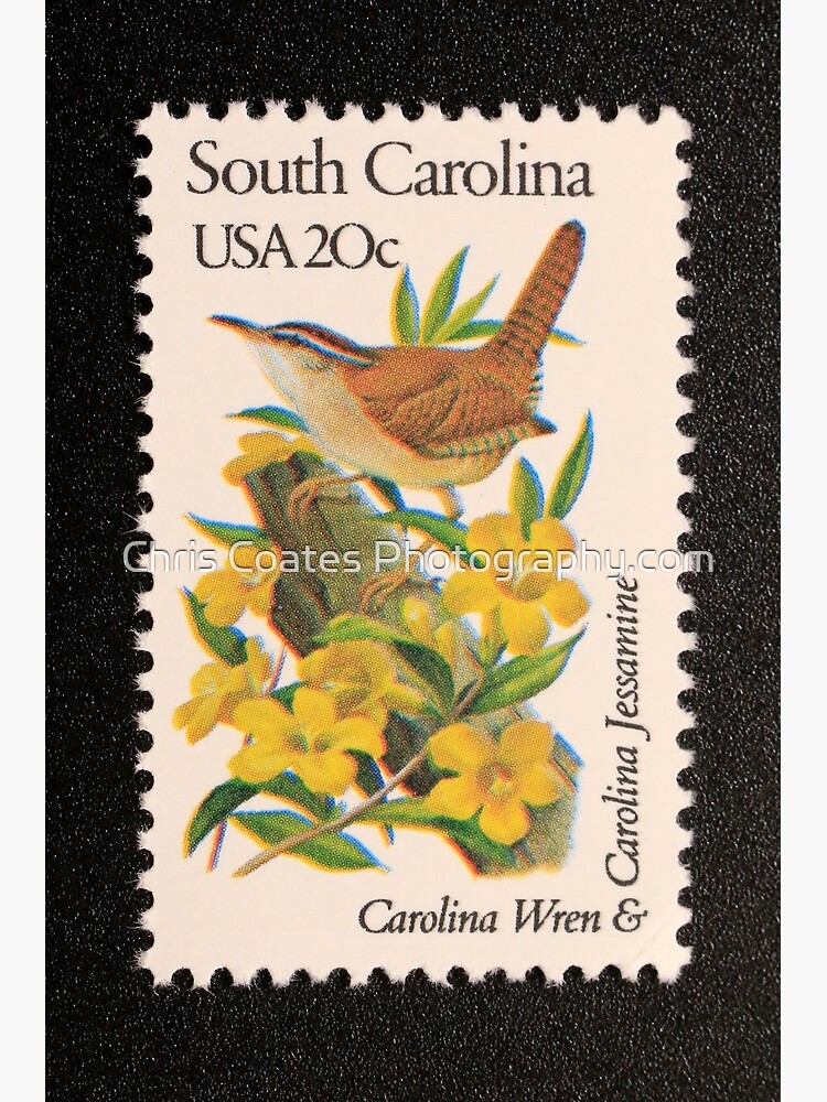 "1982 20c South Carolina State Bird & Flower Postage Stamp" Framed Art ...