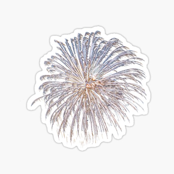 "Fireworks" Sticker for Sale by Lrenz | Redbubble