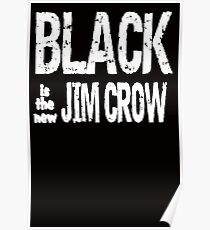 Jim Crow: Posters | Redbubble