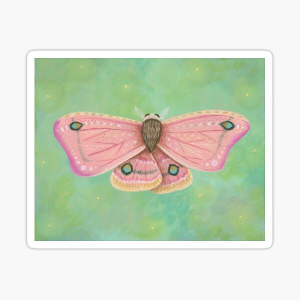 "Pink Silk Moth" Sticker for Sale by mirabyler | Redbubble