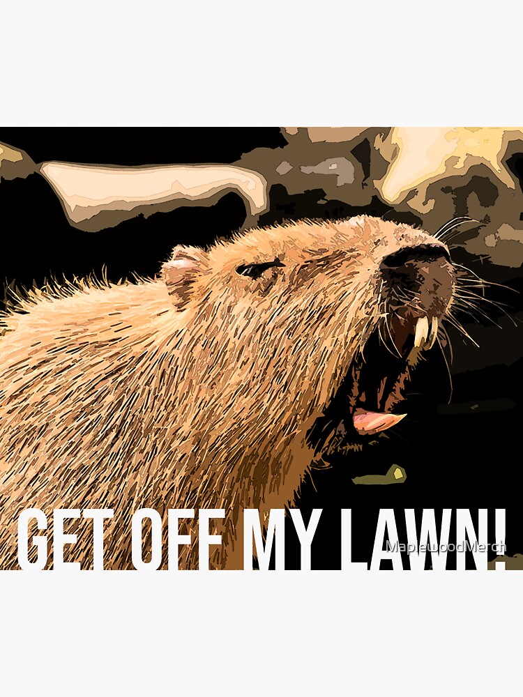 "Angry Capybara " Sticker for Sale by MaplewoodMerch | Redbubble