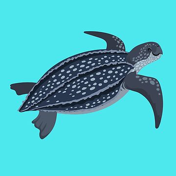 "Happy Leatherback Sea Turtle" Sticker for Sale by PepomintNarwhal ...