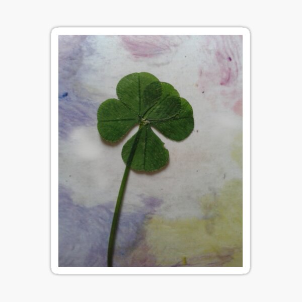 "Five-leaf clover" Sticker for Sale by emfreeka | Redbubble