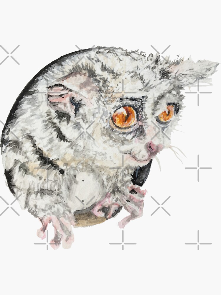 "Pookie" Sticker for Sale by B-ARTIZAN | Redbubble