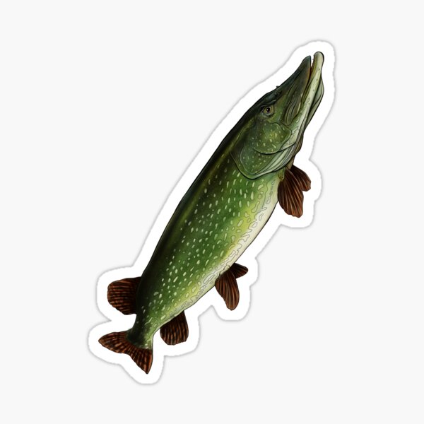 "Pike 3" Sticker by Inkfish Art | Redbubble
