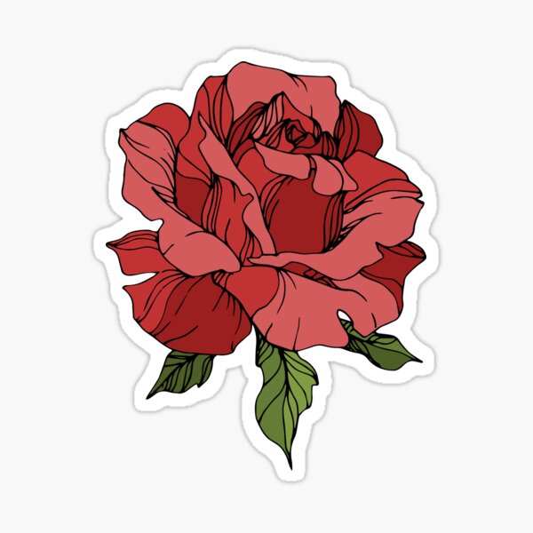 "Large Red Roses" Sticker for Sale by crdraper | Redbubble