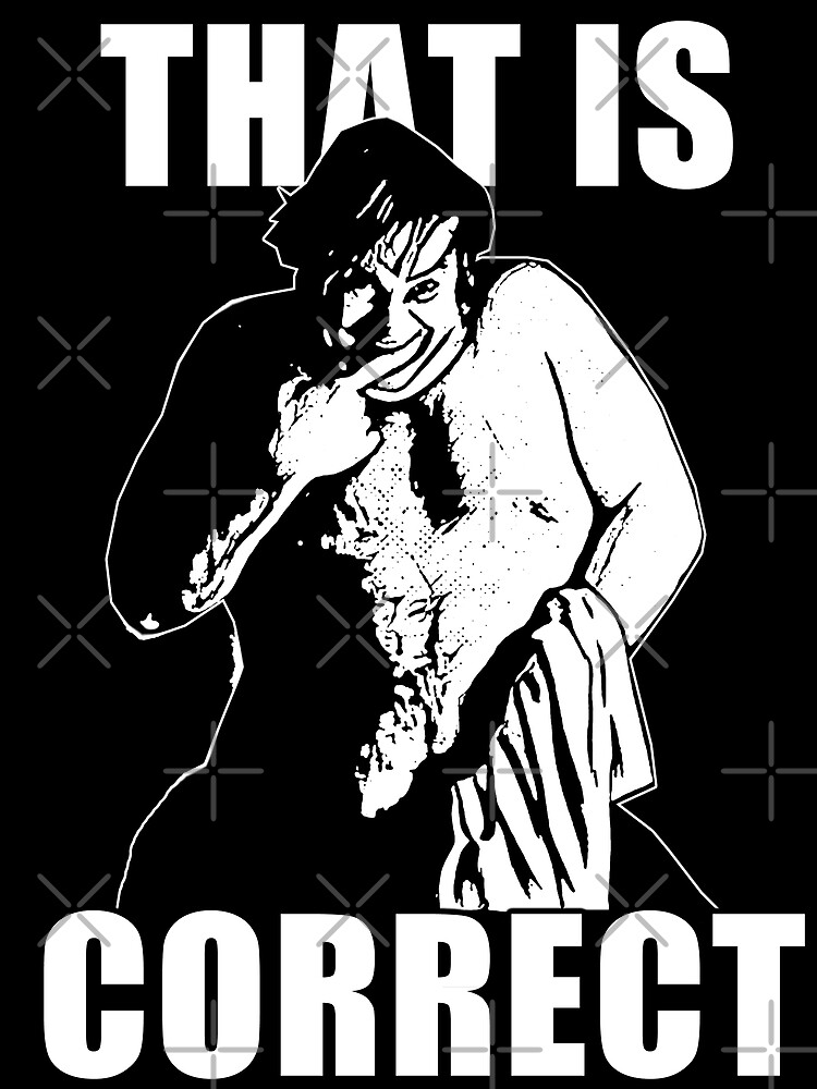 "that is Correct" Art Print for Sale by JTK667 | Redbubble
