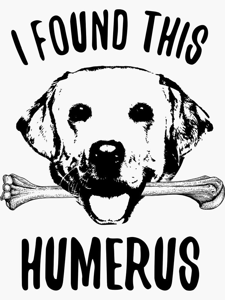 "Yellow Lab Funny Labrador Retriever Gift" Sticker for Sale by ...