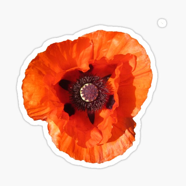 "We love poppies" Sticker for Sale by BiscuitBarrel | Redbubble
