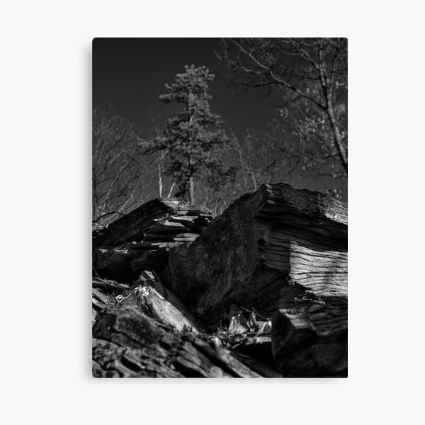 Staggered Canvas Prints | Redbubble