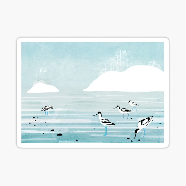 "Avocets" Sticker for Sale by katherineblower | Redbubble