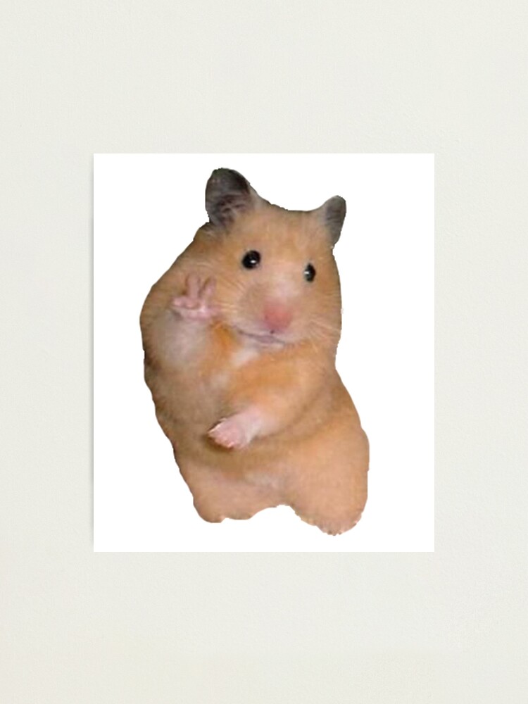 "Peace Sign Hamster" Photographic Print for Sale by kate-designs ...