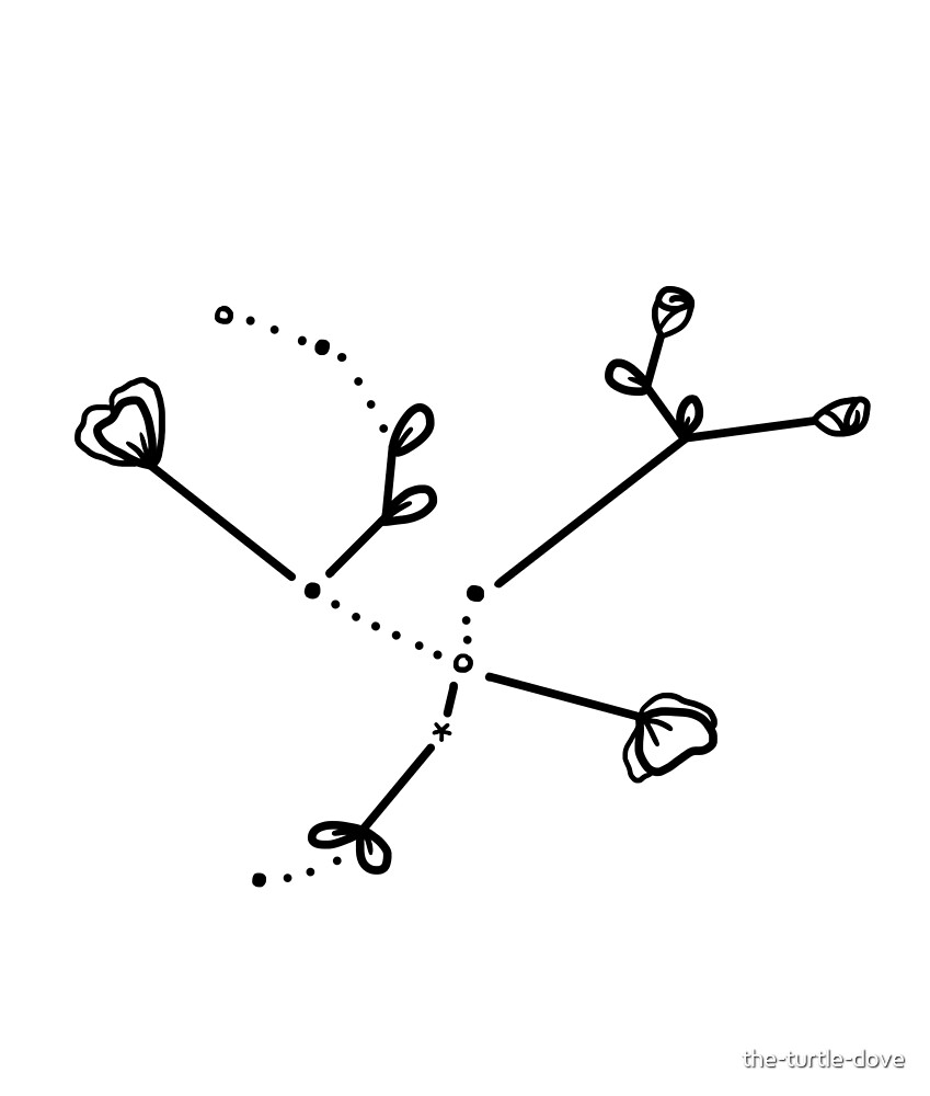 "Andromeda (the chained princess) Constellation" by the-turtle-dove ...