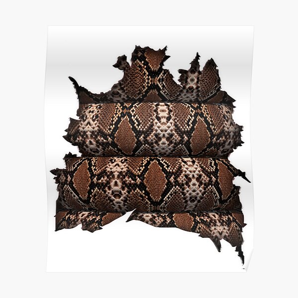 "Rattlesnake" Poster by BigAl3D | Redbubble