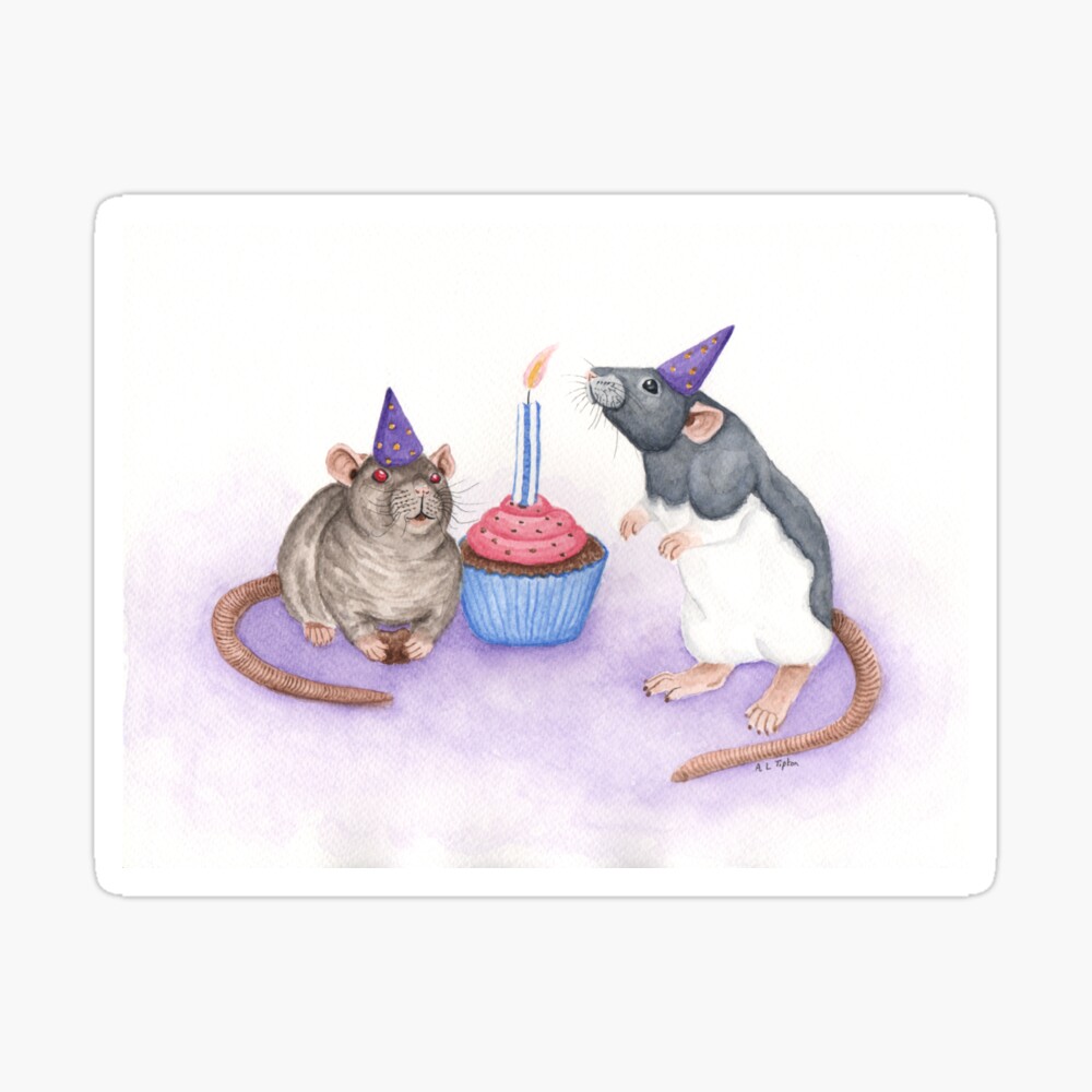 Blank Cards Rat Greeting Card Year of the Rat Funny Rat Birthday Card ...