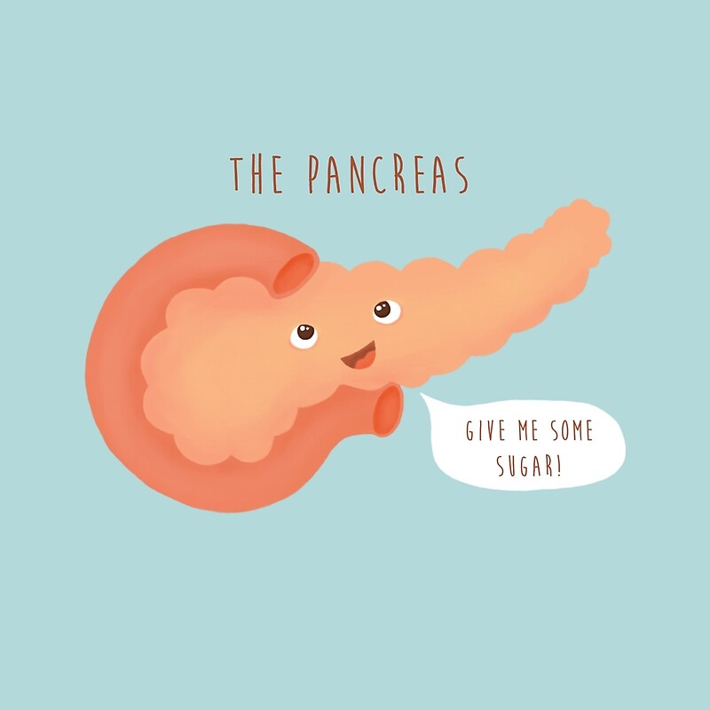 Endocrine 1 Nur 2 on emaze