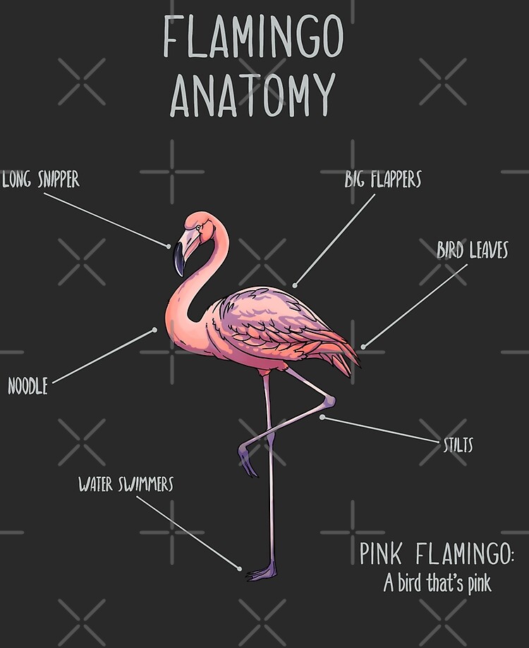 "Flamingo anatomy" iPad Case & Skin for Sale by AnimalArtist | Redbubble
