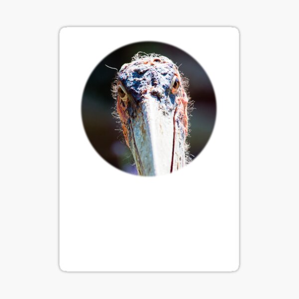 "Mababou" Sticker by TFG-Berlin | Redbubble