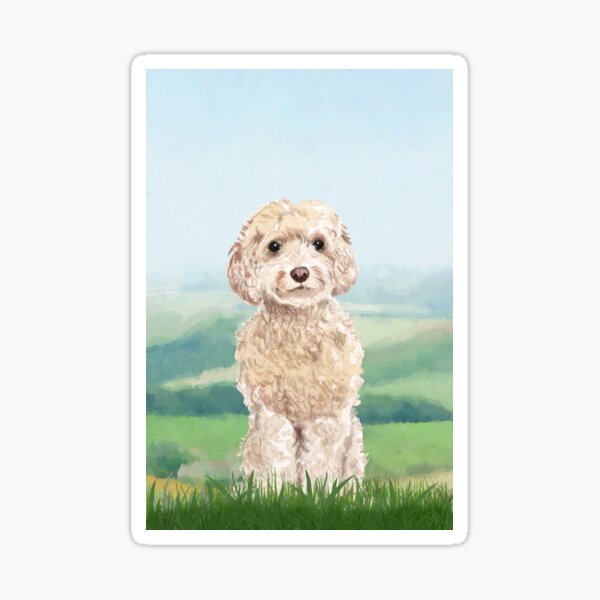 "Cockapoo" Sticker by JohnE | Redbubble