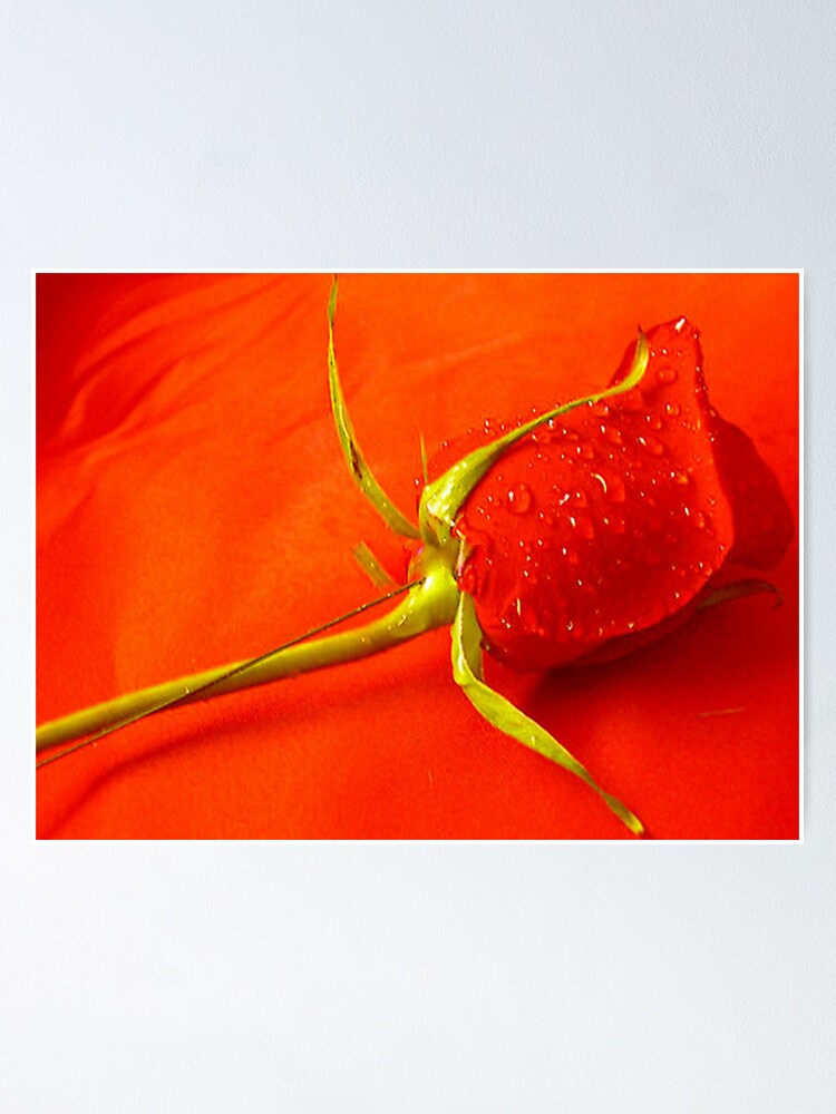 "*SEEING RED*" Poster by van049 | Redbubble